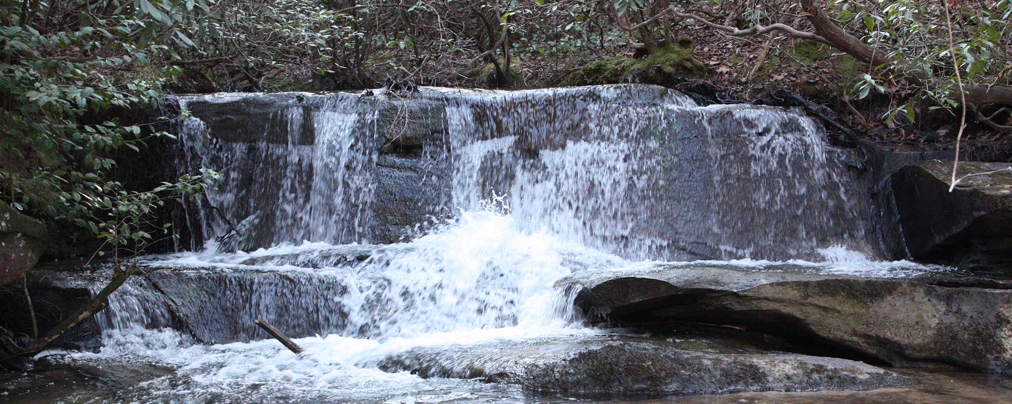 Natural Bridge Loop | HikeTheSouth