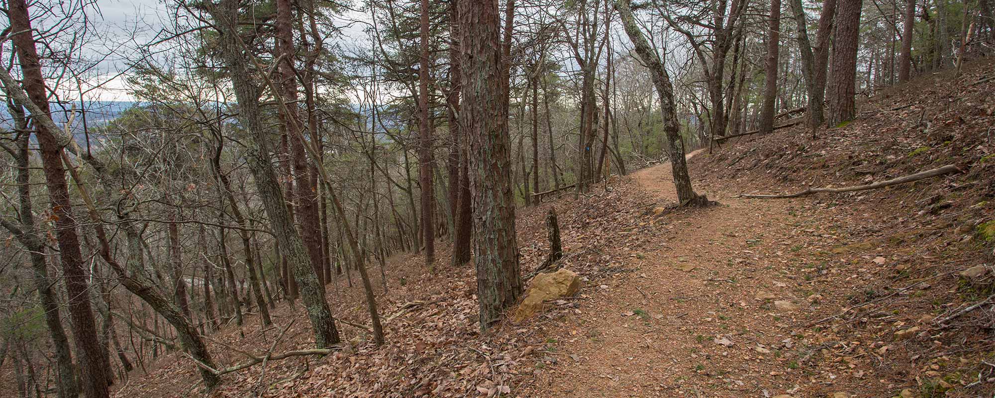 Sawnee Mountainside Trail System | HikeTheSouth
